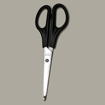 6" student scissors - DBLG Import